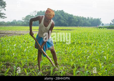 Indian farmer working in his field Andhra Pradesh South India Stock ...