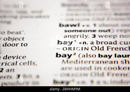 bay word in a dictionary. bay concept Stock Photo - Alamy