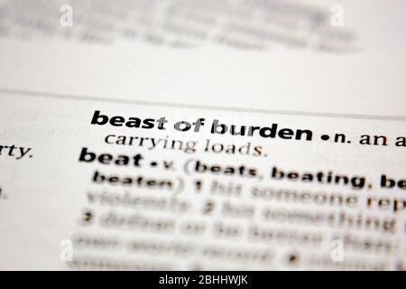 burden word in a dictionary. burden concept Stock Photo - Alamy