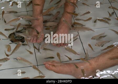 fish foot spa Stock Photo - Alamy