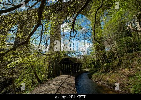 Path following the canal feeder in the Almondell and Calderwood Country ...