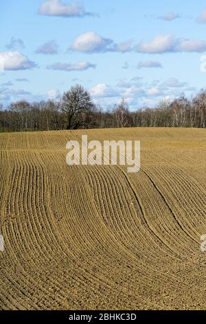 freshly plowed field early spring in the netherlands on the island of ...