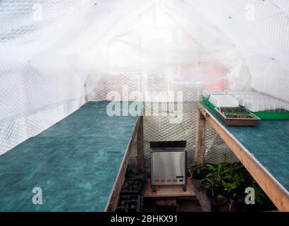 Capillary matting been liad on staging in greenhouse that is insulated ...
