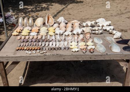 Sea shells for sale, Kuta Beach, Bali, Indonesia Stock Photo - Alamy