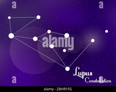 Lupus constellation. Starry night sky. Vector illustration Stock Vector ...