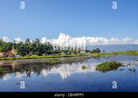 green landscape and loktak lake Stock Photo - Alamy