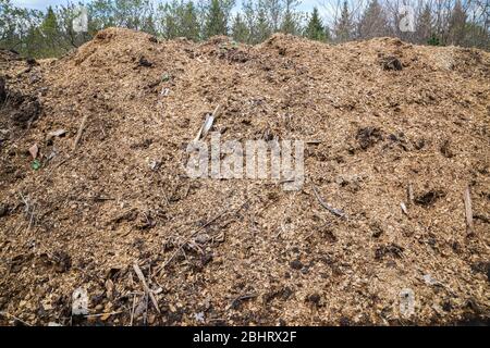 Pile of twigs, branches, leaves and woodchips composting Stock Photo ...