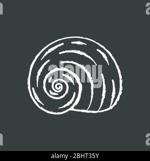 Moonshell chalk white icon on black background Stock Vector Image & Art ...