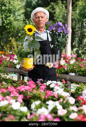 Portrait of older man proud of blooming flowers cultivated in his ...