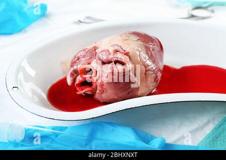 Heart organ in medical metal tray on table close up Stock Photo - Alamy