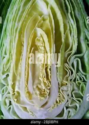 Green cabbage halved Stock Photo - Alamy