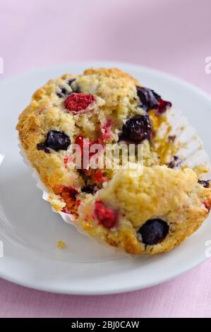 Broken blueberry muffin on white surface Stock Photo - Alamy