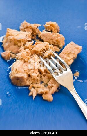 Tuna in olive oil. Canned tuna with olives and chili peppers. Healthy ...