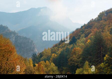 Amazing view of Magnificent autumn carpet in The Rhodope mountains ...