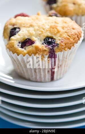 Bilberries on a plate Stock Photo - Alamy