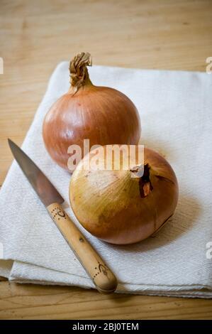 Small white french onions on a dark background Stock Photo - Alamy