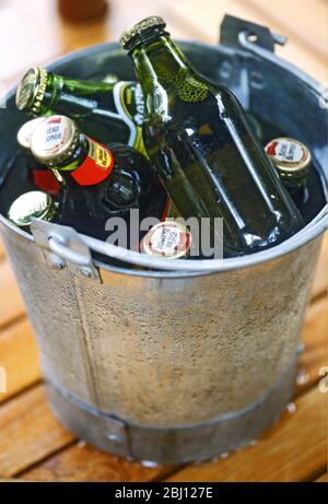 bottles of beer in an iced bucket on blue vertical composition Stock ...