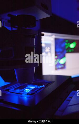High powered microscope used for medical testing Stock Photo - Alamy