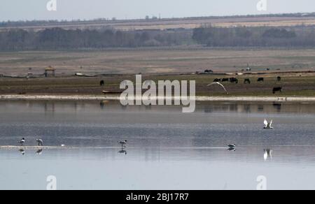 Barkol County Xinjiang Uygur Autonomous Region China Stock Photo - Alamy