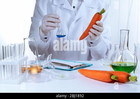 Scientist examines carrots in laboratory Stock Photo - Alamy