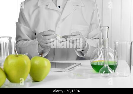 Scientist examines apples in laboratory Stock Photo - Alamy