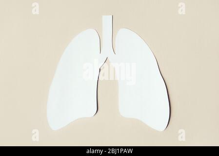 Paper lungs on beige background Stock Photo - Alamy