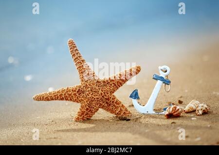 Beautiful starfish and anchor on unfocused background Stock Photo - Alamy