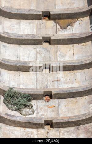 A detailed view of weathered wooden deck planks arranged in parallel ...