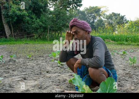 sad farmer crying at field, India Stock Photo - Alamy
