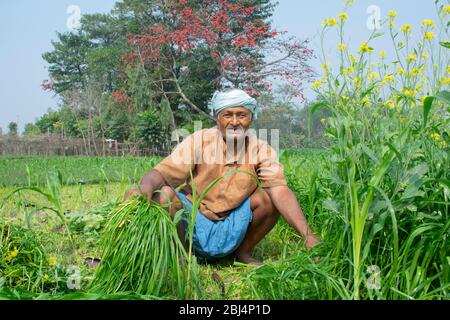 Indian farmer working in his field Andhra Pradesh South India Stock ...