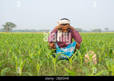 indian farmer crying at field Stock Photo - Alamy