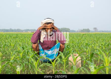 indian farmer crying at field Stock Photo - Alamy