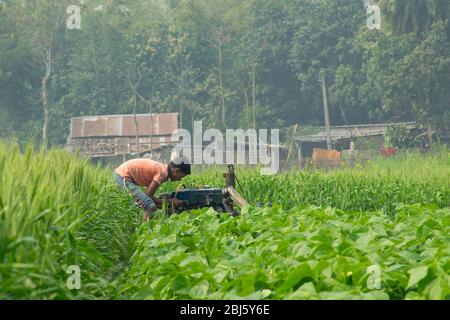 young boys working in field, India Stock Photo - Alamy