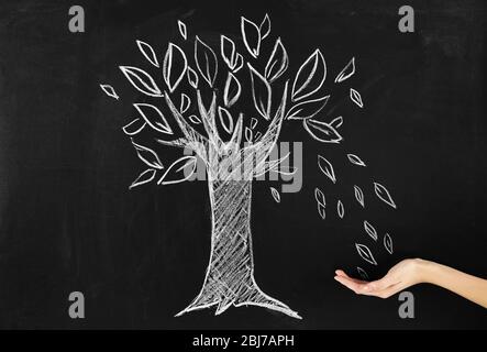 Photo of hand catching leaves painted on chalkboard Stock Photo - Alamy