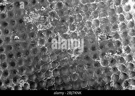 Silver dotted metal background, close up Stock Photo - Alamy