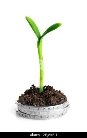 Euro Coins Growing in Soil with Green Plant Investment Concept Stock ...