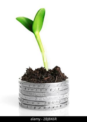 Euro Coins Growing in Soil with Green Plant Investment Concept Stock ...