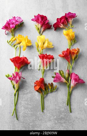 Colorful freesia flowers on grey background. Party decor Stock Photo ...