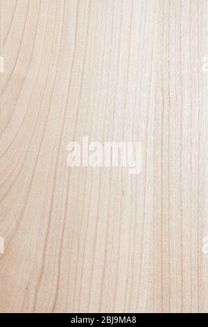 High resolution blonde wood texture Stock Photo - Alamy