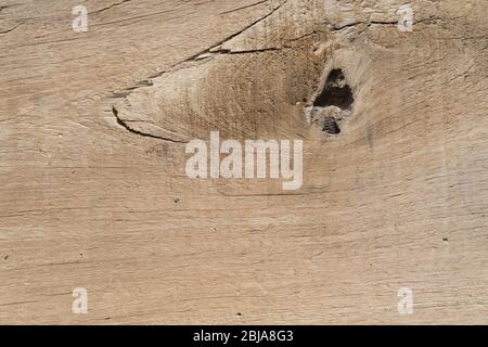 texture unsanded plywood with a hole Stock Photo - Alamy