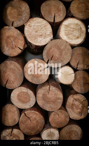 A stack or stockpile of spruce wood logs neatly piled. The logging ...