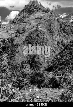 dramatic image of caribbean countryside of farms and agriculture field ...