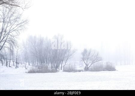 Charming frozen landscape near pond on winter morning Stock Photo - Alamy