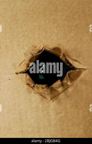 Digital video camera hidden behind pink curtains, spying neighbors ...