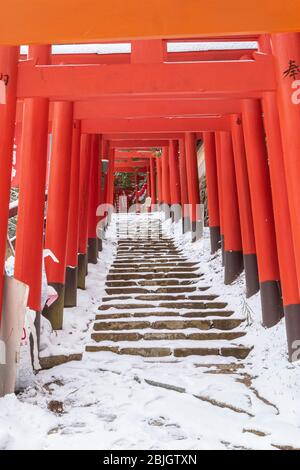 Torii gate in Koyasan, torri is a traditional Japanese gate most ...