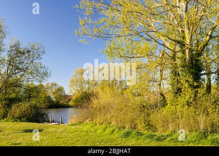 Lake and trees at Buckley Common, Flintshire, North Wales Stock Photo ...