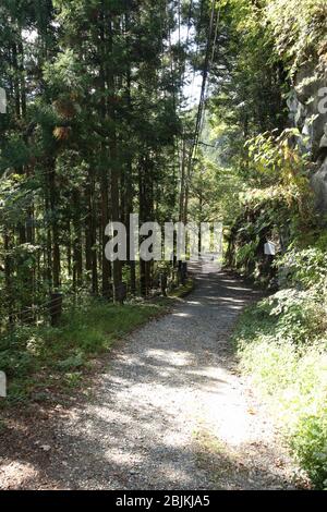 Hiking trail to Shirahige shrine, Okutama Mukashi Michi Hike, Ishikawa ...