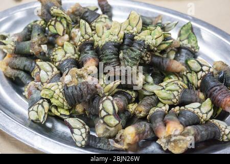 Percebes or Goose Barnacles a Spanish food delicacy especially in Stock ...