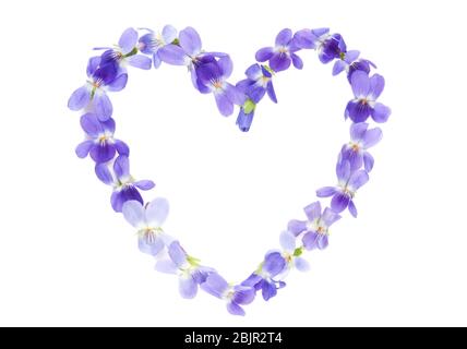 Violet flowers and heart made of white satin ribbon on pink background ...