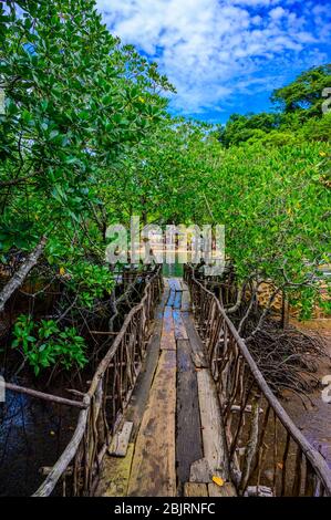 Maquinit Hot Spring at Busuanga island near Coron town, tropical ...